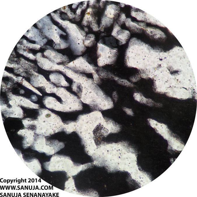 Petrology Media Library | Sanuja Senanayake