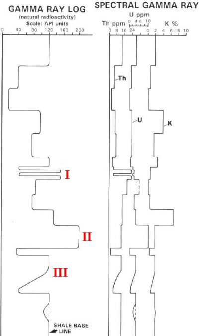 Petrophysical Log Interpretation | Sanuja Senanayake