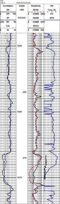 Petrophysical Log Interpretation | Sanuja Senanayake